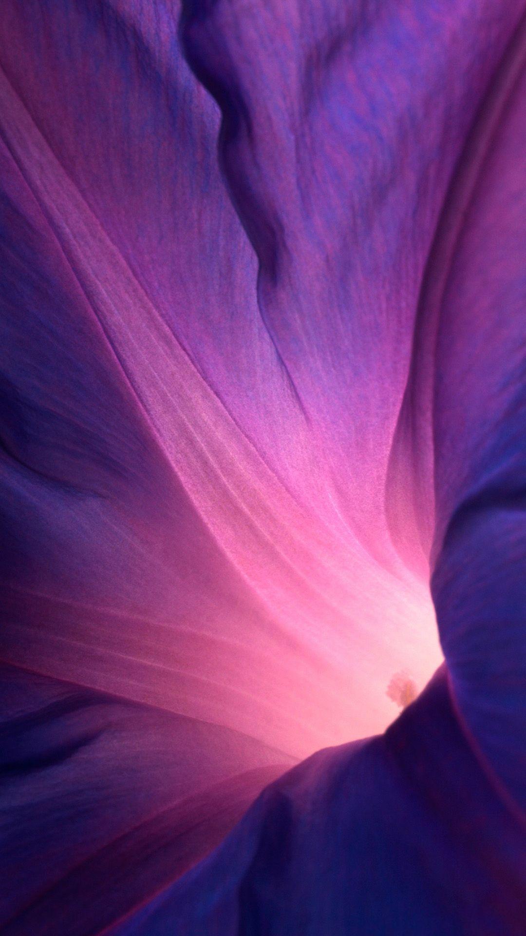 Abstract Flower iPhone Wallpapers - Top Free Abstract Flower iPhone ...