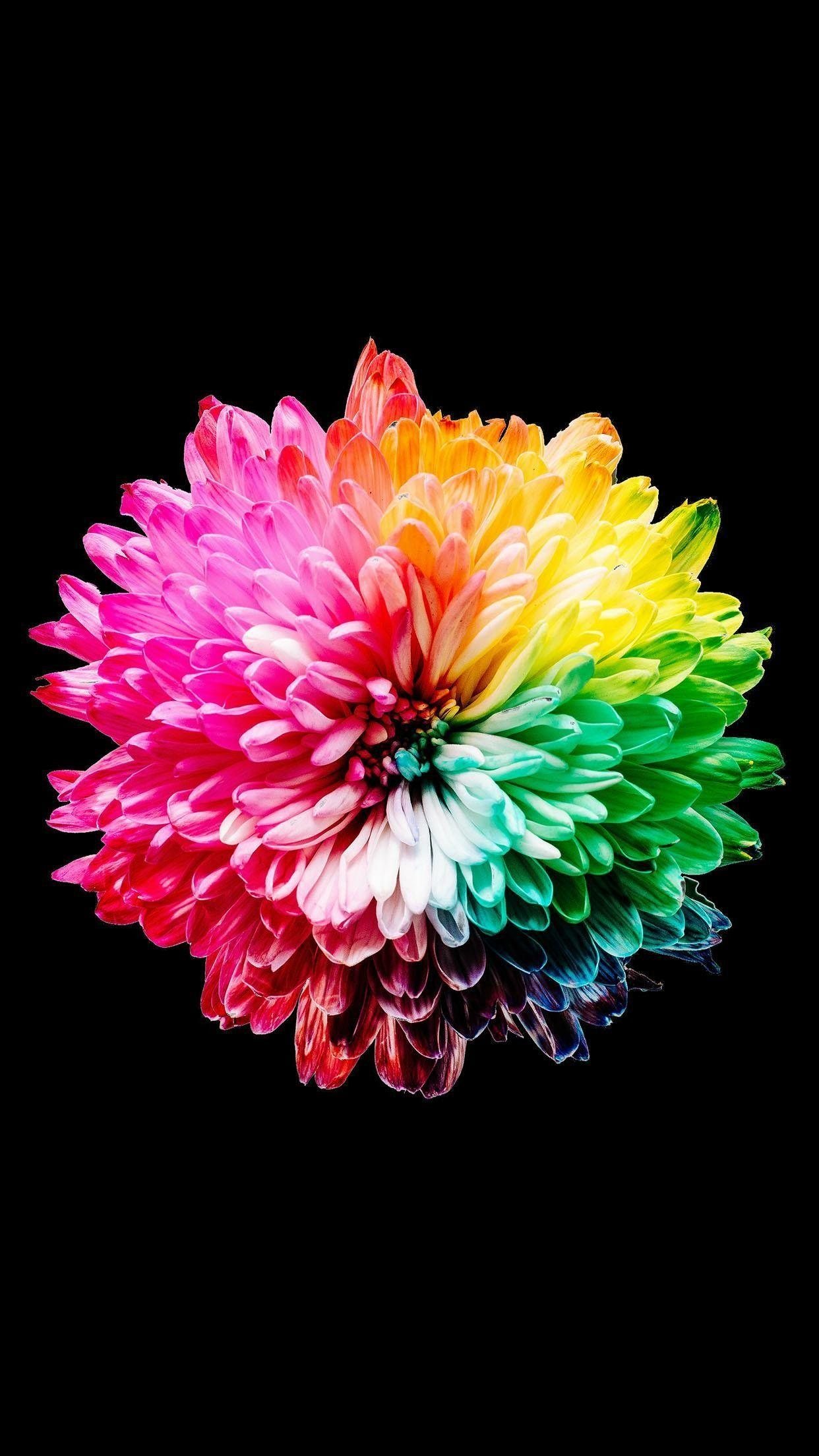 Abstract Flower iPhone Wallpapers - Top Free Abstract Flower iPhone ...
