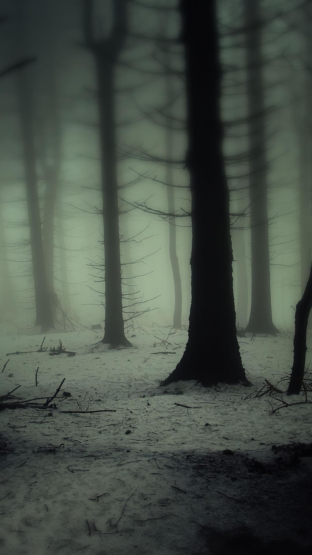 Phone Forest Wallpapers - Top Free Phone Forest Backgrounds ...