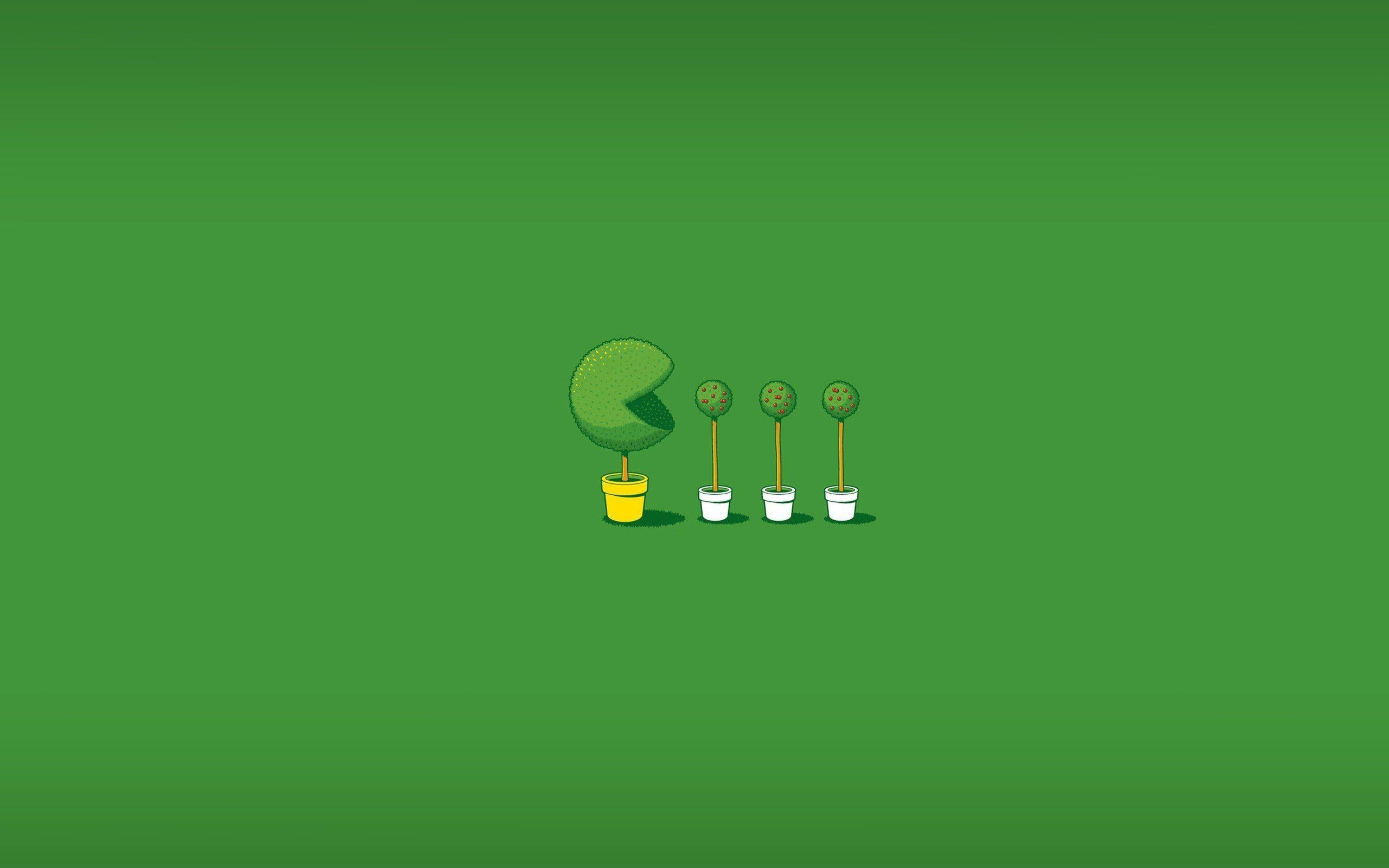 Funny 4K Wallpapers - Top Free Funny 4K Backgrounds - WallpaperAccess