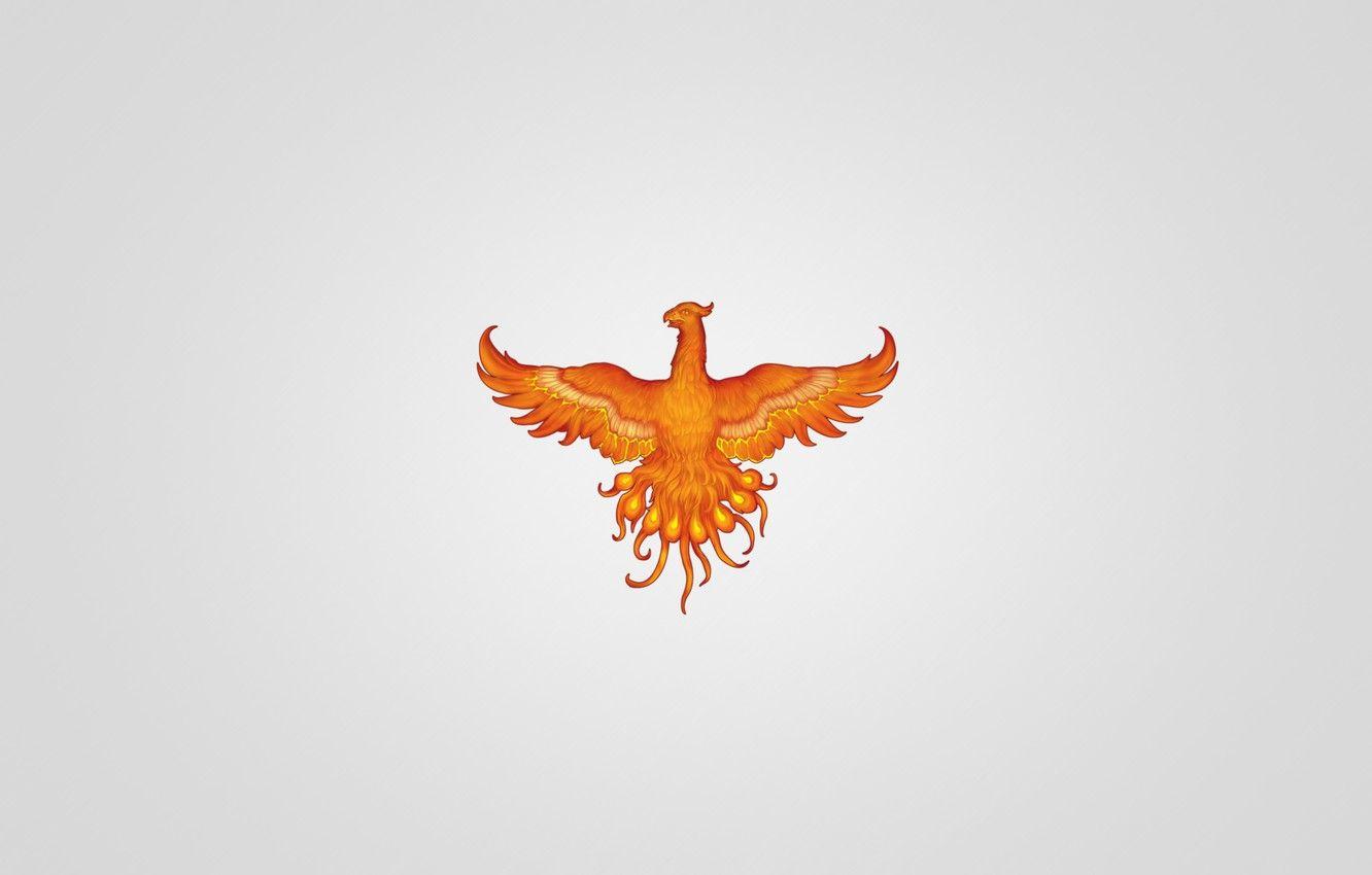 Minimalist Phoenix Wallpapers - Top Free Minimalist Phoenix Backgrounds ...