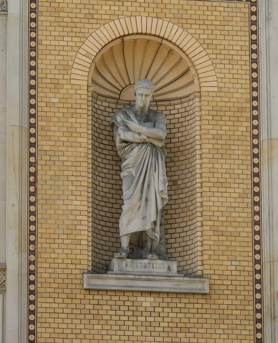 Aristotle Wallpapers - Top Free Aristotle Backgrounds - WallpaperAccess