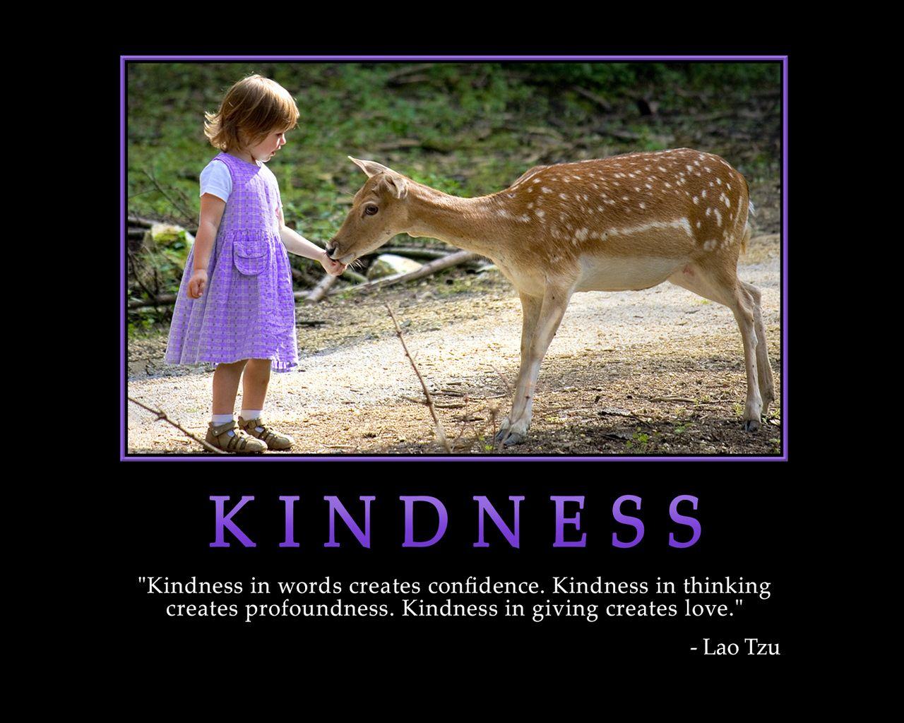 Kindness Wallpapers - Top Free Kindness Backgrounds - WallpaperAccess