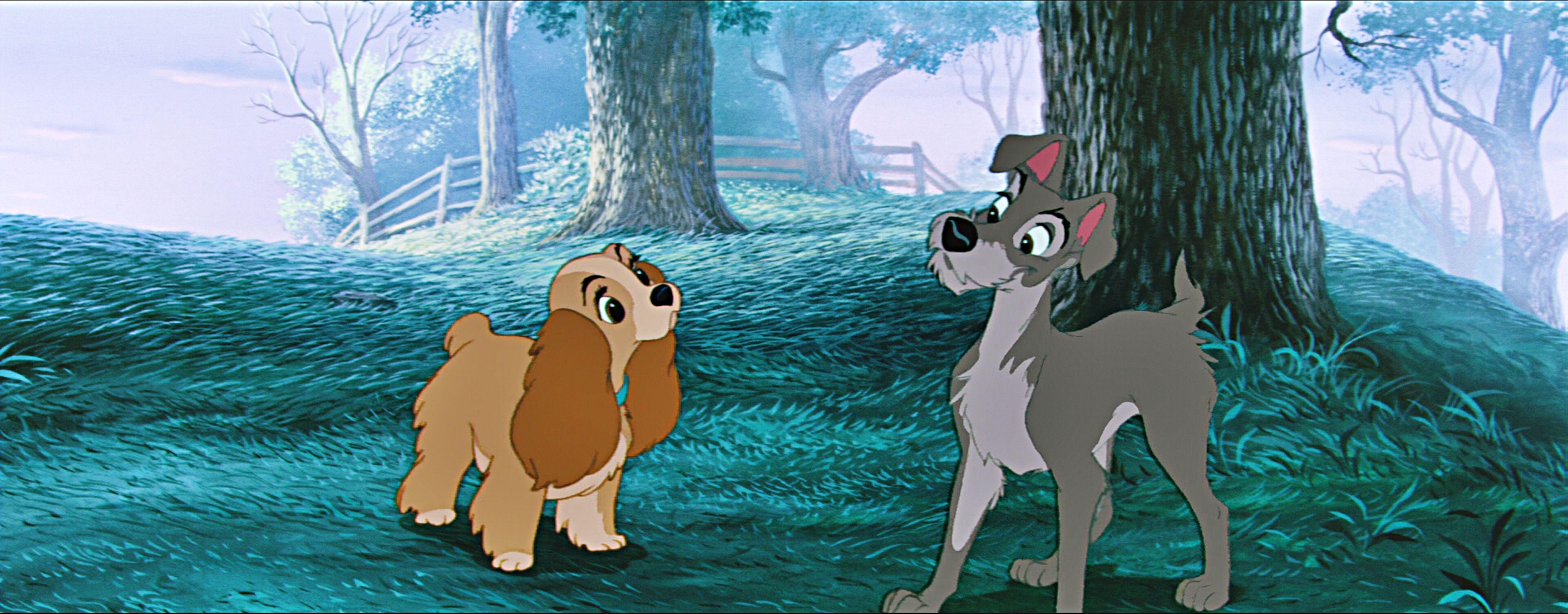 Lady and the Tramp Wallpapers - Top Free Lady and the Tramp Backgrounds ...