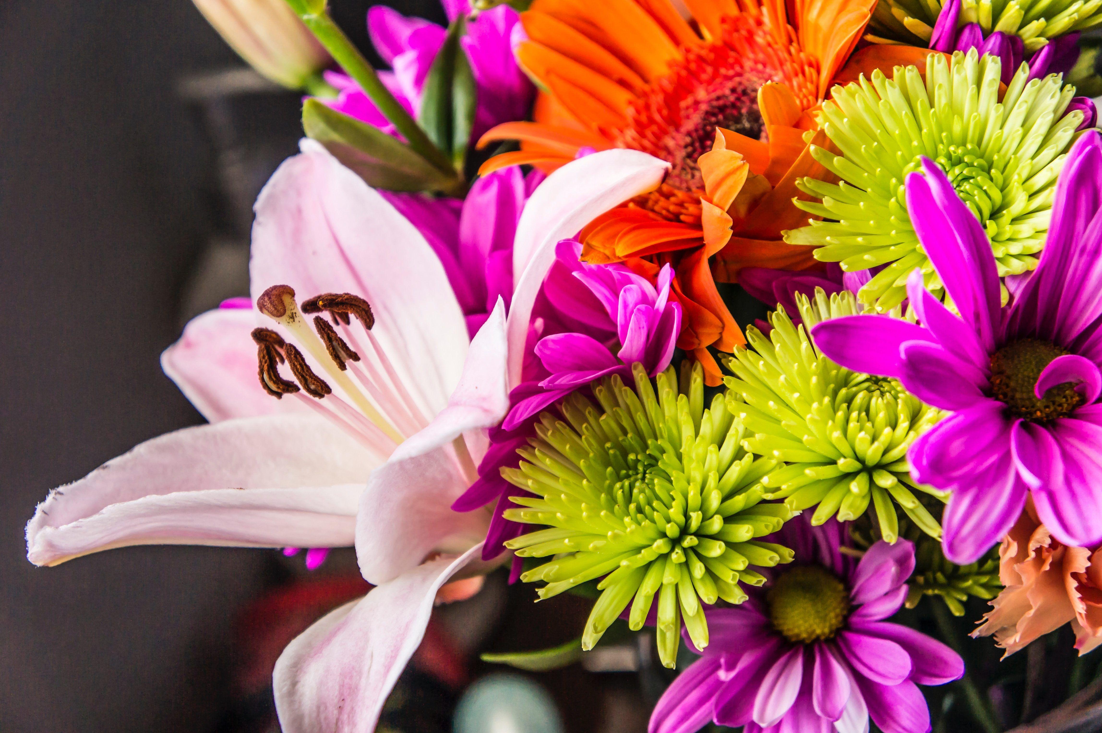 Lily iPhone Wallpapers - Top Free Lily iPhone Backgrounds - WallpaperAccess