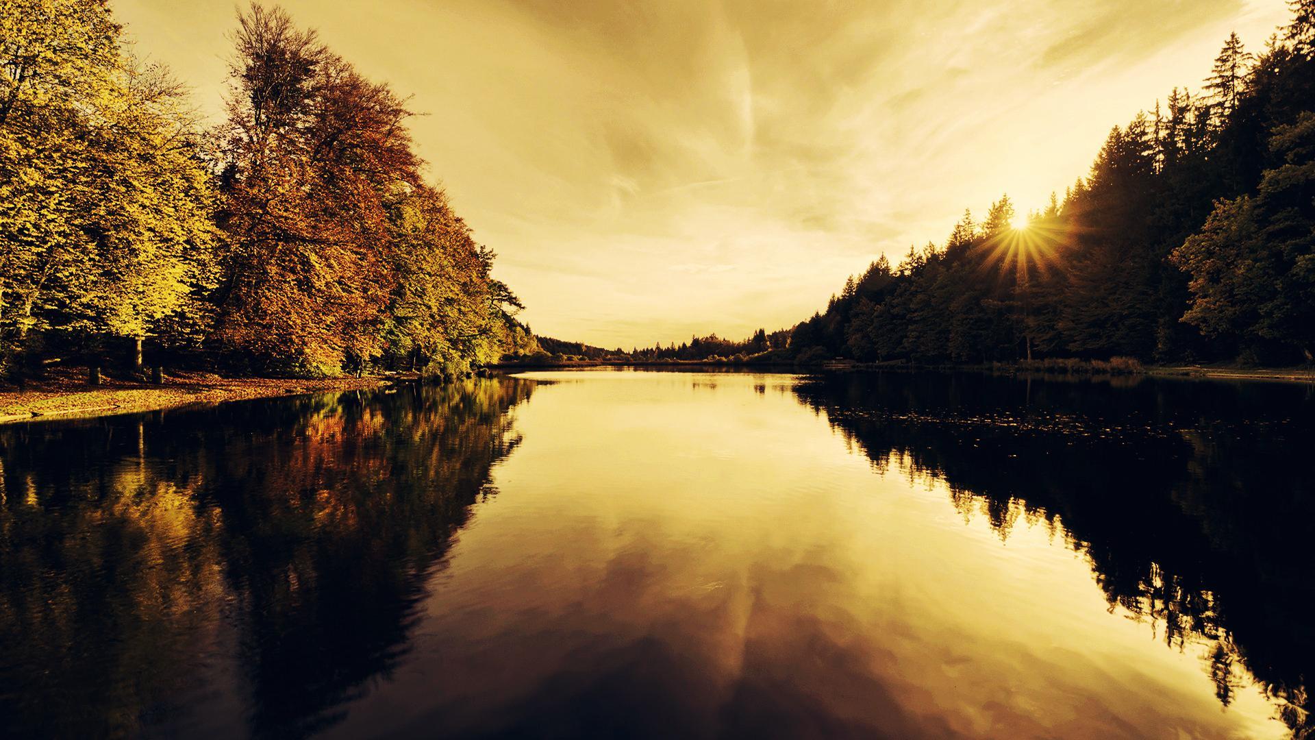 Wild Wallpapers - Top Free Wild Backgrounds - WallpaperAccess