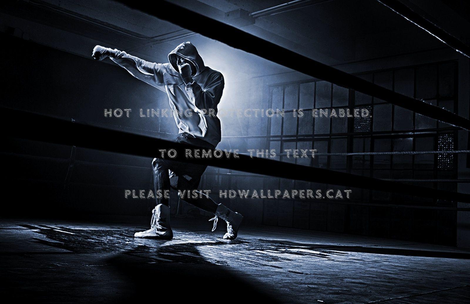 Boxing Ring Wallpapers - Top Free Boxing Ring Backgrounds - WallpaperAccess