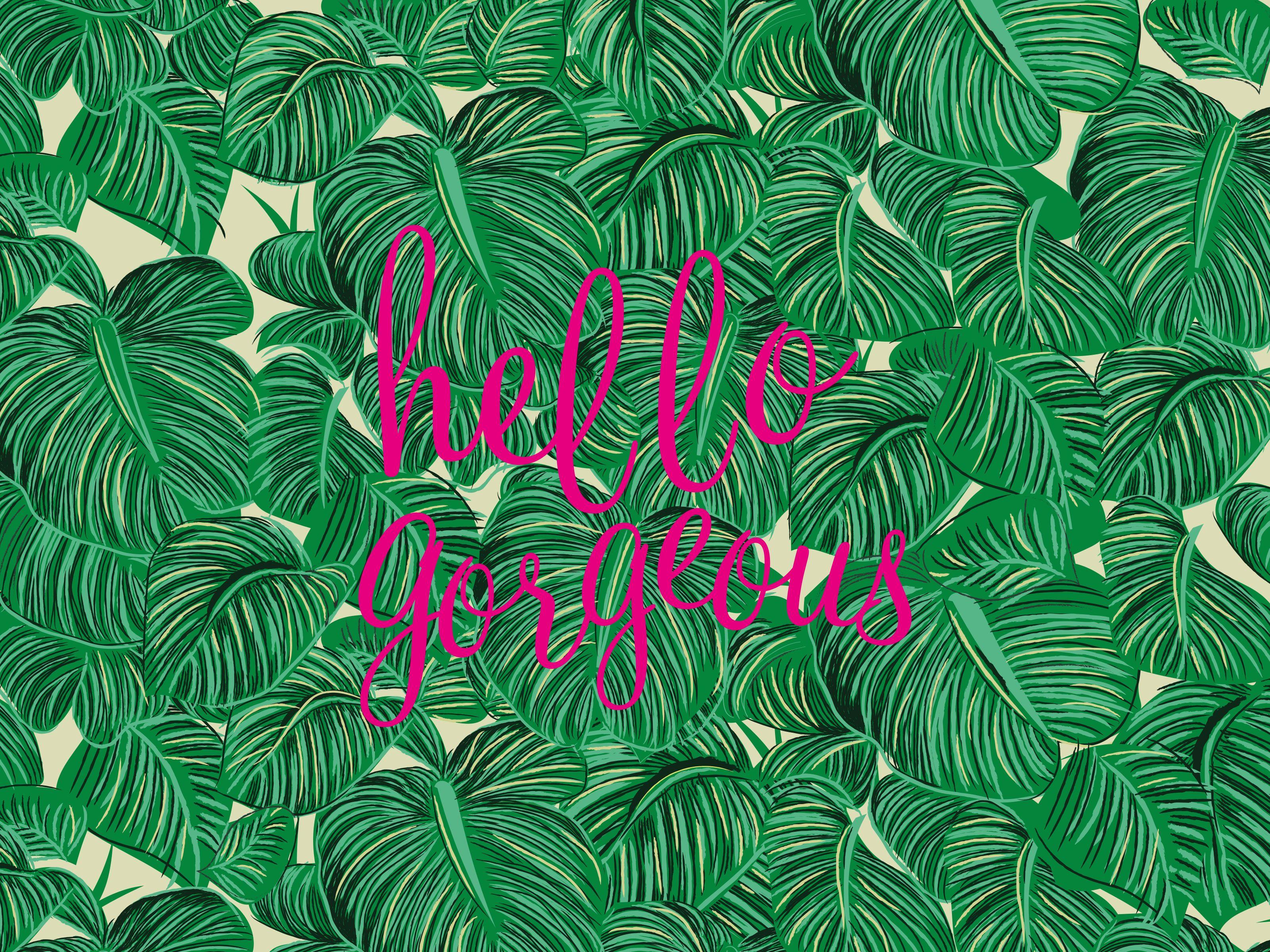 Hello Laptop Wallpapers - Top Free Hello Laptop Backgrounds ...