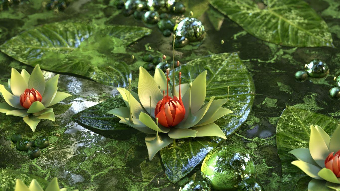 Lotus Flower Laptop Wallpapers - Top Free Lotus Flower Laptop ...