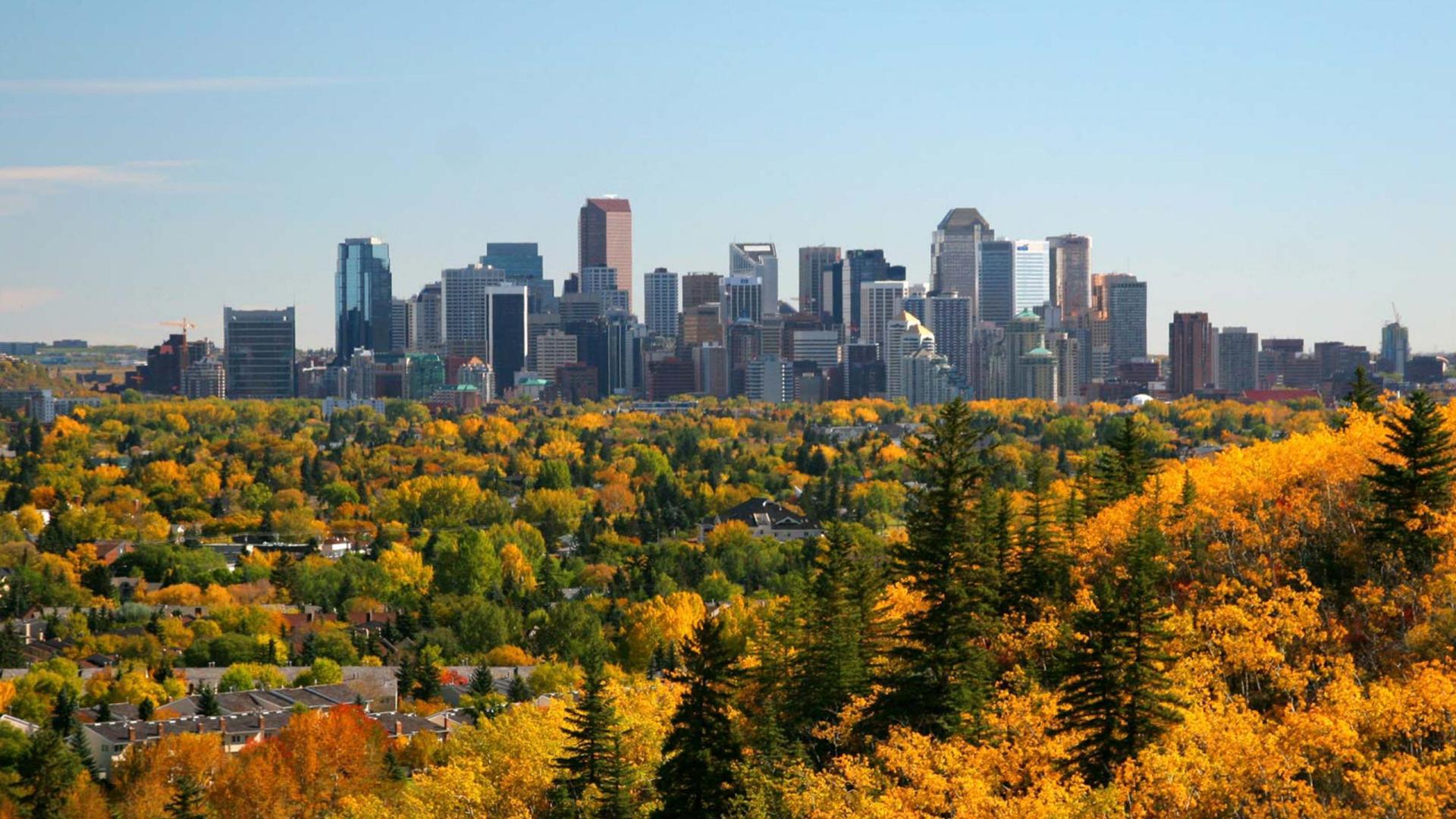 Calgary Wallpapers - Top Free Calgary Backgrounds - WallpaperAccess