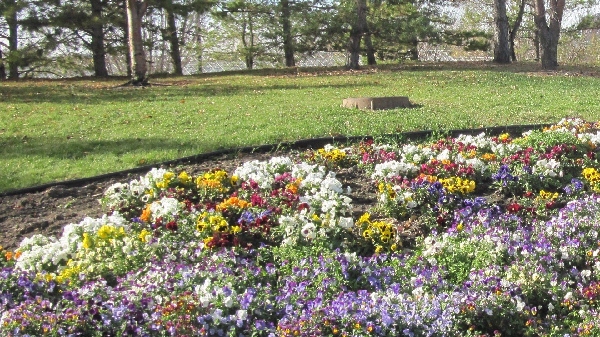 Edmonton Wallpapers - Top Free Edmonton Backgrounds - WallpaperAccess