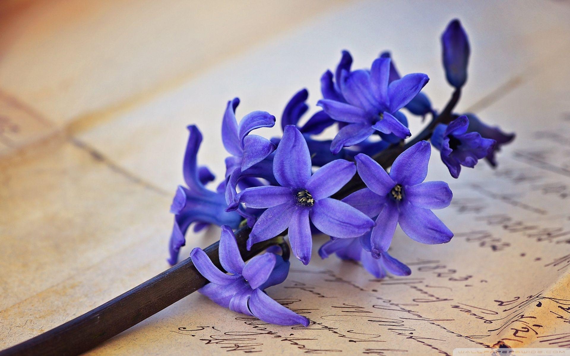 Vintage Love Wallpapers - Top Free Vintage Love Backgrounds ...