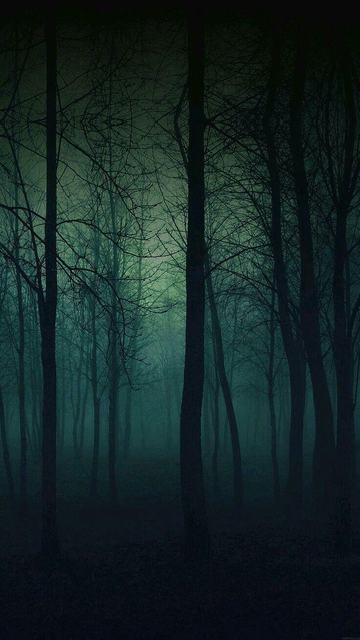 Gore Wallpapers - Top Free Gore Backgrounds - WallpaperAccess