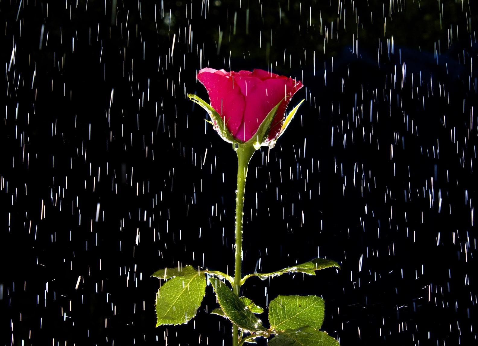 Moving Rain Wallpapers - Top Free Moving Rain Backgrounds - WallpaperAccess