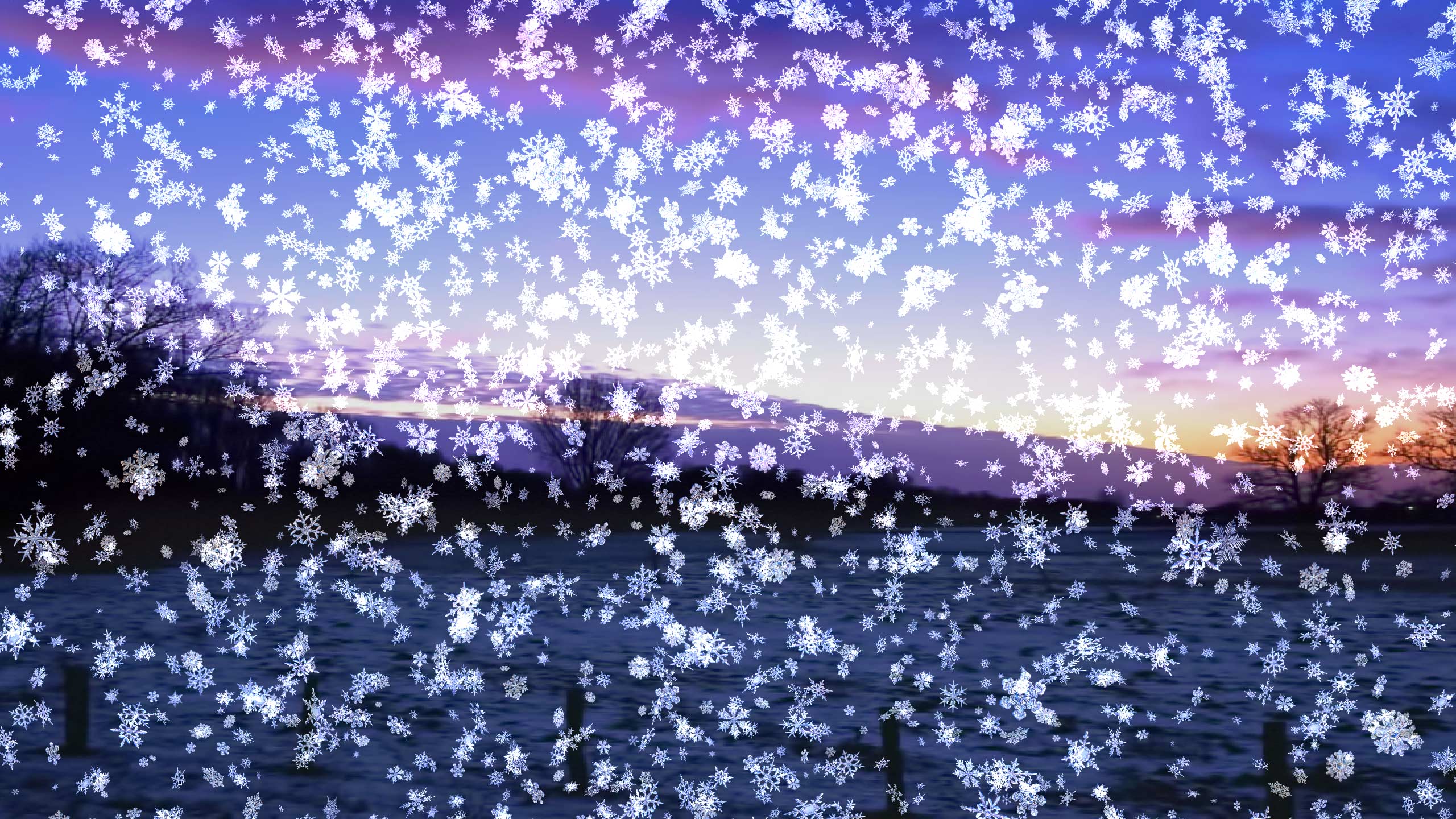 Moving Rain Wallpapers - Top Free Moving Rain Backgrounds - WallpaperAccess