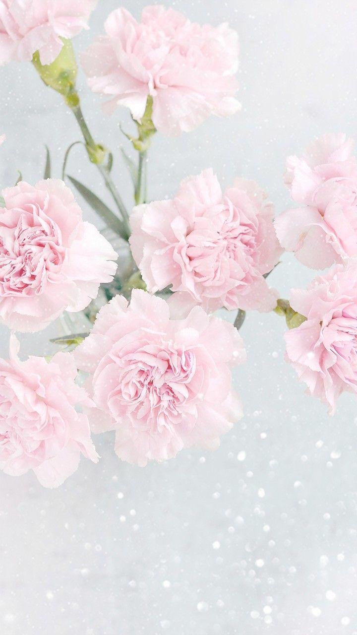 Pastel Roses Wallpapers - Top Free Pastel Roses Backgrounds ...