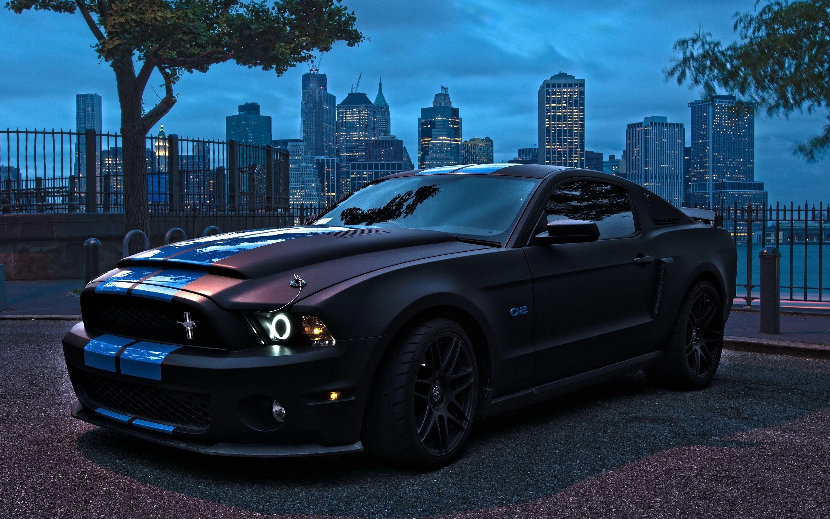 Black Mustang Wallpapers - Top Free Black Mustang Backgrounds ...
