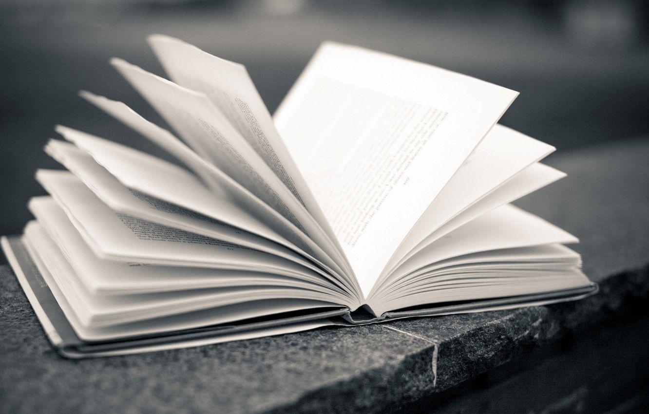 Reading Wallpapers - Top Free Reading Backgrounds - WallpaperAccess