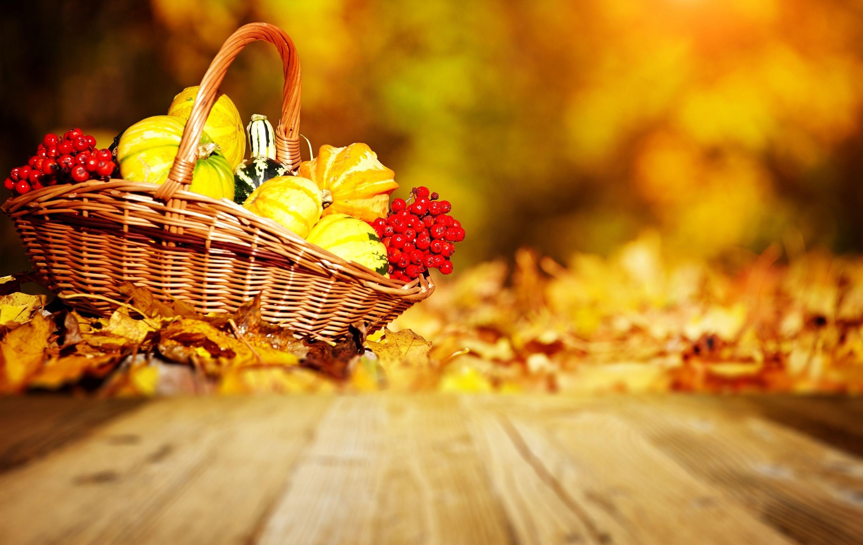 Harvest Wallpapers - Top Free Harvest Backgrounds - WallpaperAccess