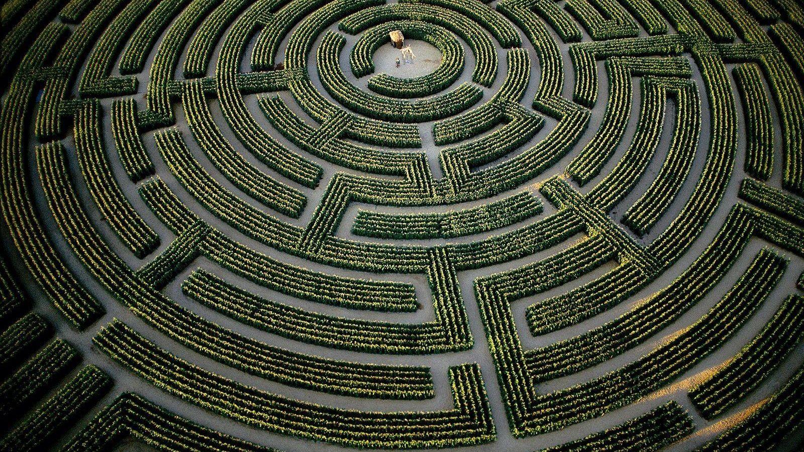 Labyrinth Wallpapers - Top Free Labyrinth Backgrounds - WallpaperAccess