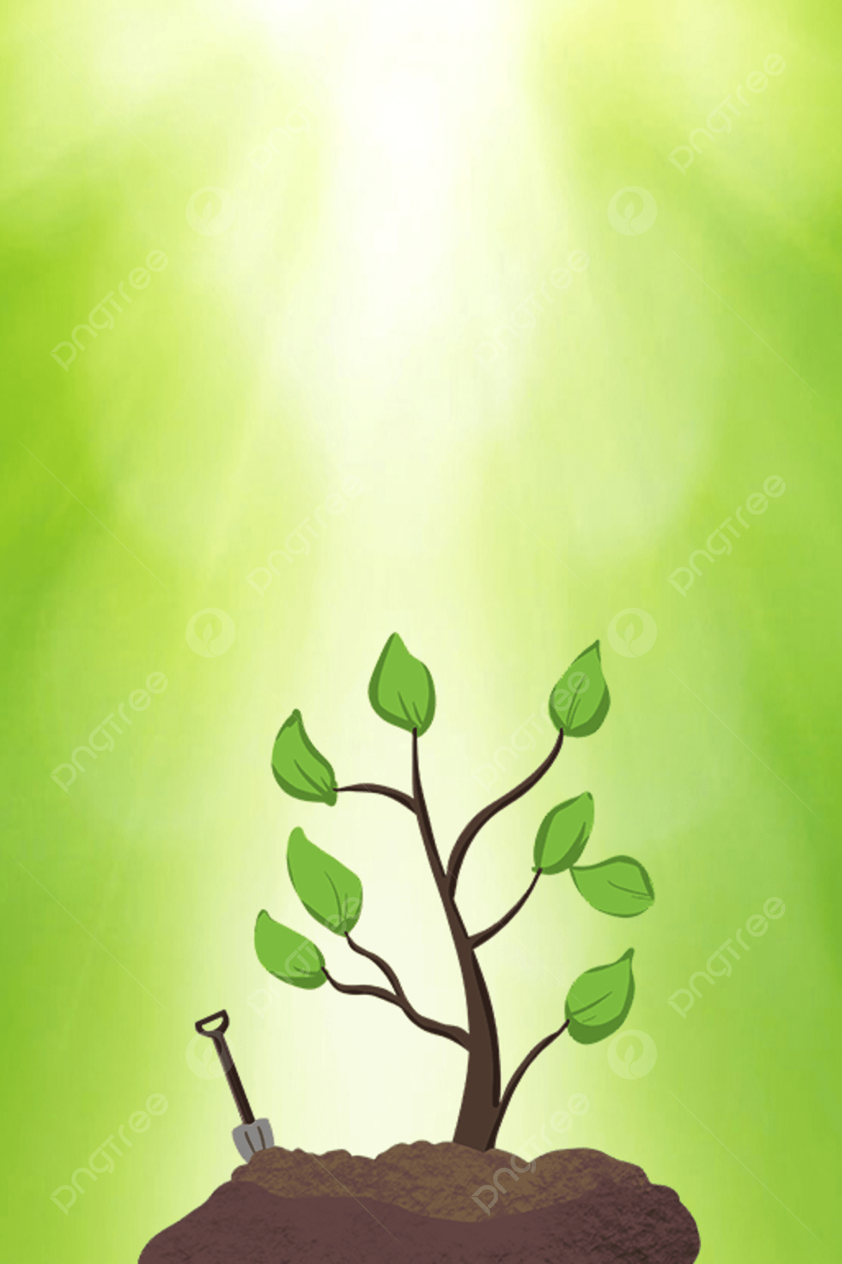 Sapling Wallpapers - Top Free Sapling Backgrounds - WallpaperAccess