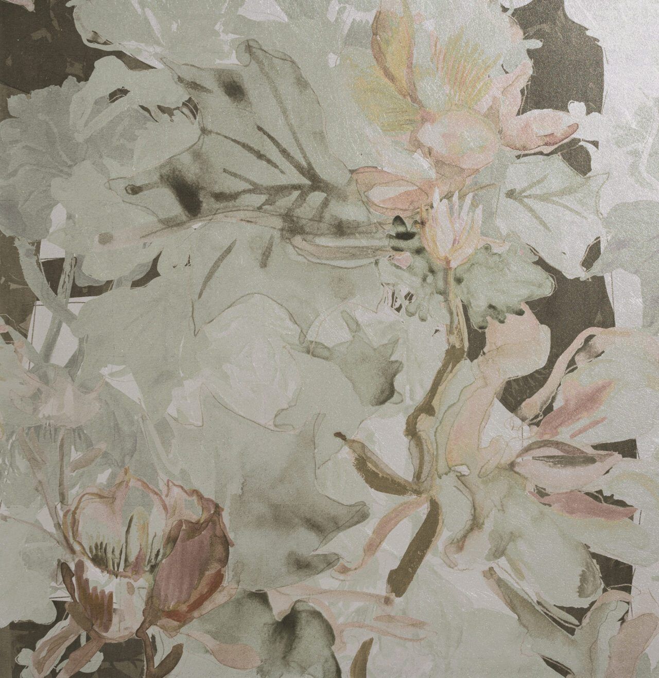 Sapling Wallpapers - Top Free Sapling Backgrounds - WallpaperAccess