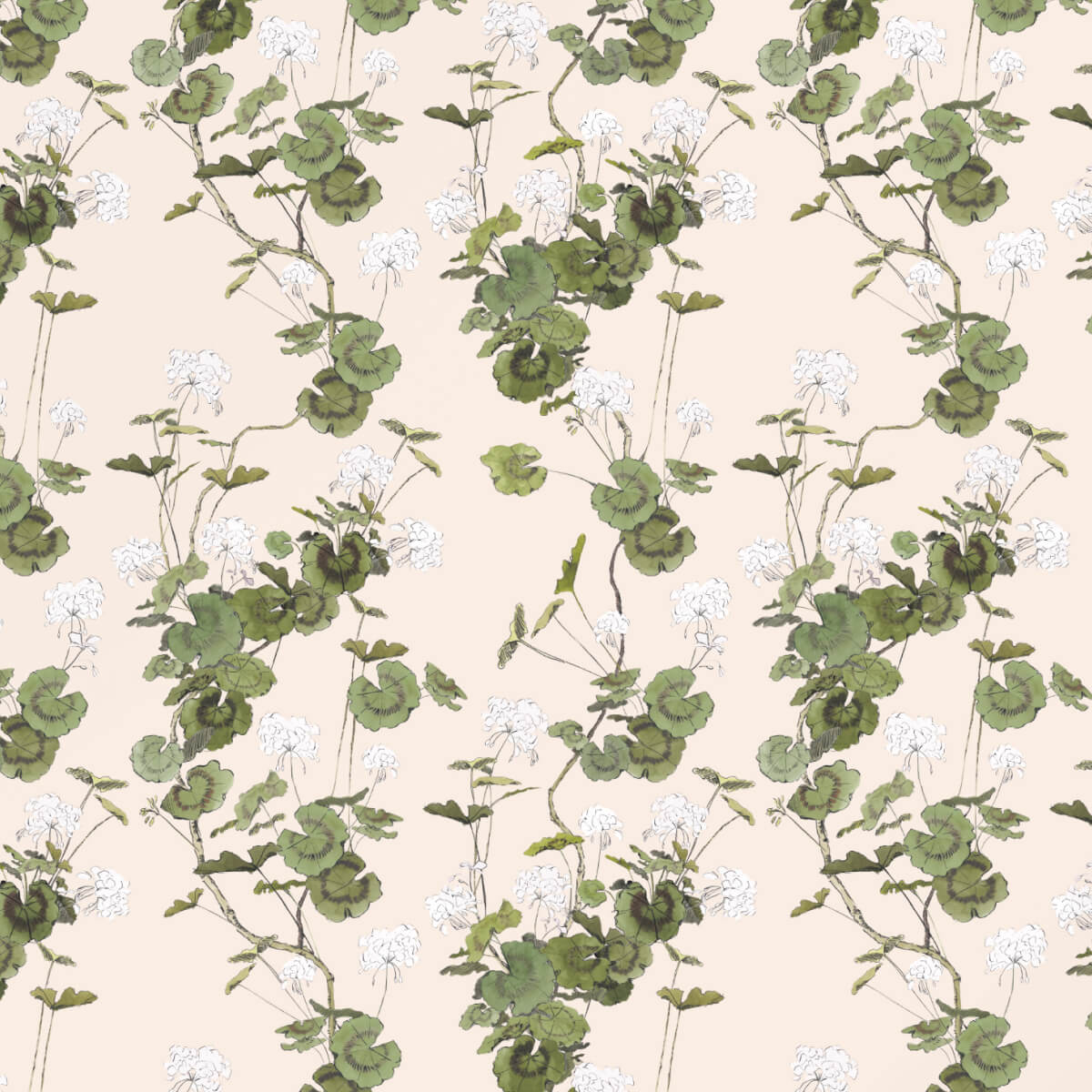 Geranium Wallpapers - Top Free Geranium Backgrounds - WallpaperAccess