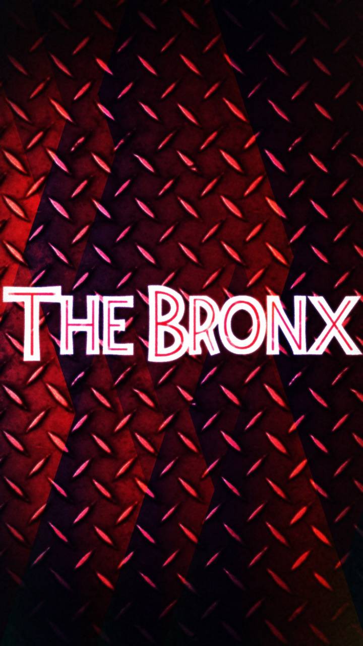 Bronx Wallpapers - Top Free Bronx Backgrounds - WallpaperAccess