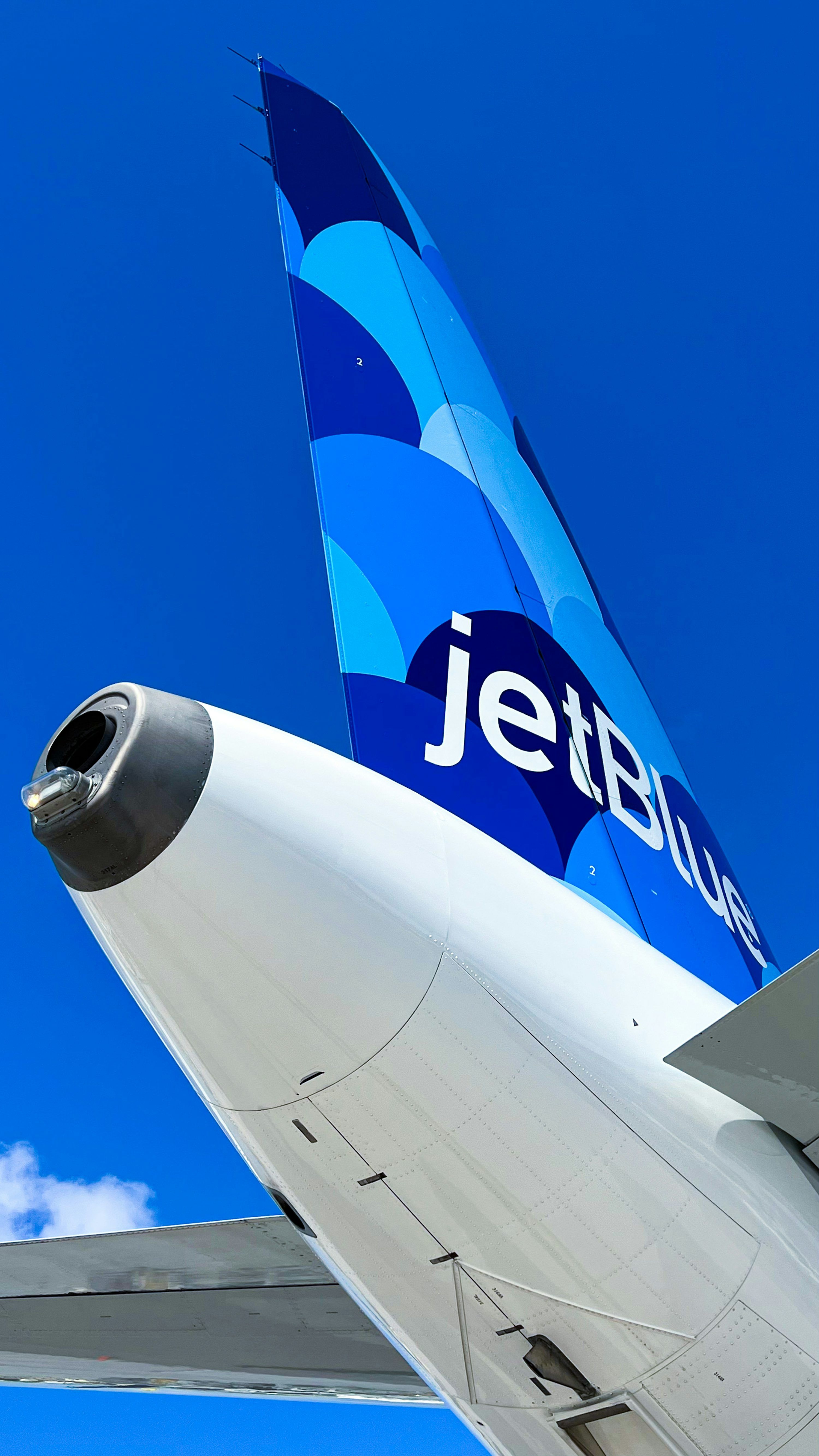 JetBlue Wallpapers - Top Free JetBlue Backgrounds - WallpaperAccess