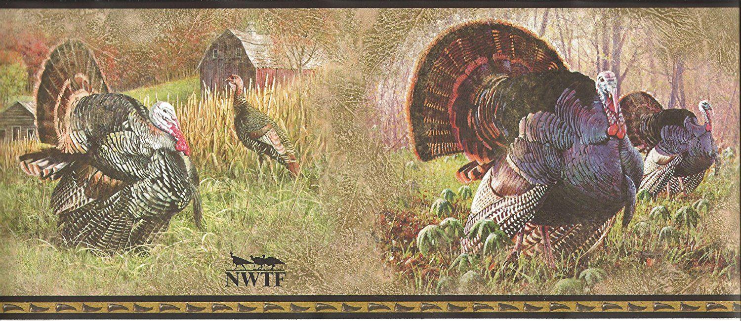 NWTF Wallpapers - Top Free NWTF Backgrounds - WallpaperAccess