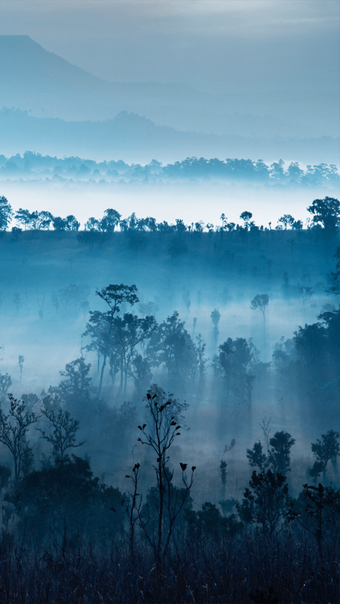 Android Pie Wallpapers - Top Free Android Pie Backgrounds - WallpaperAccess