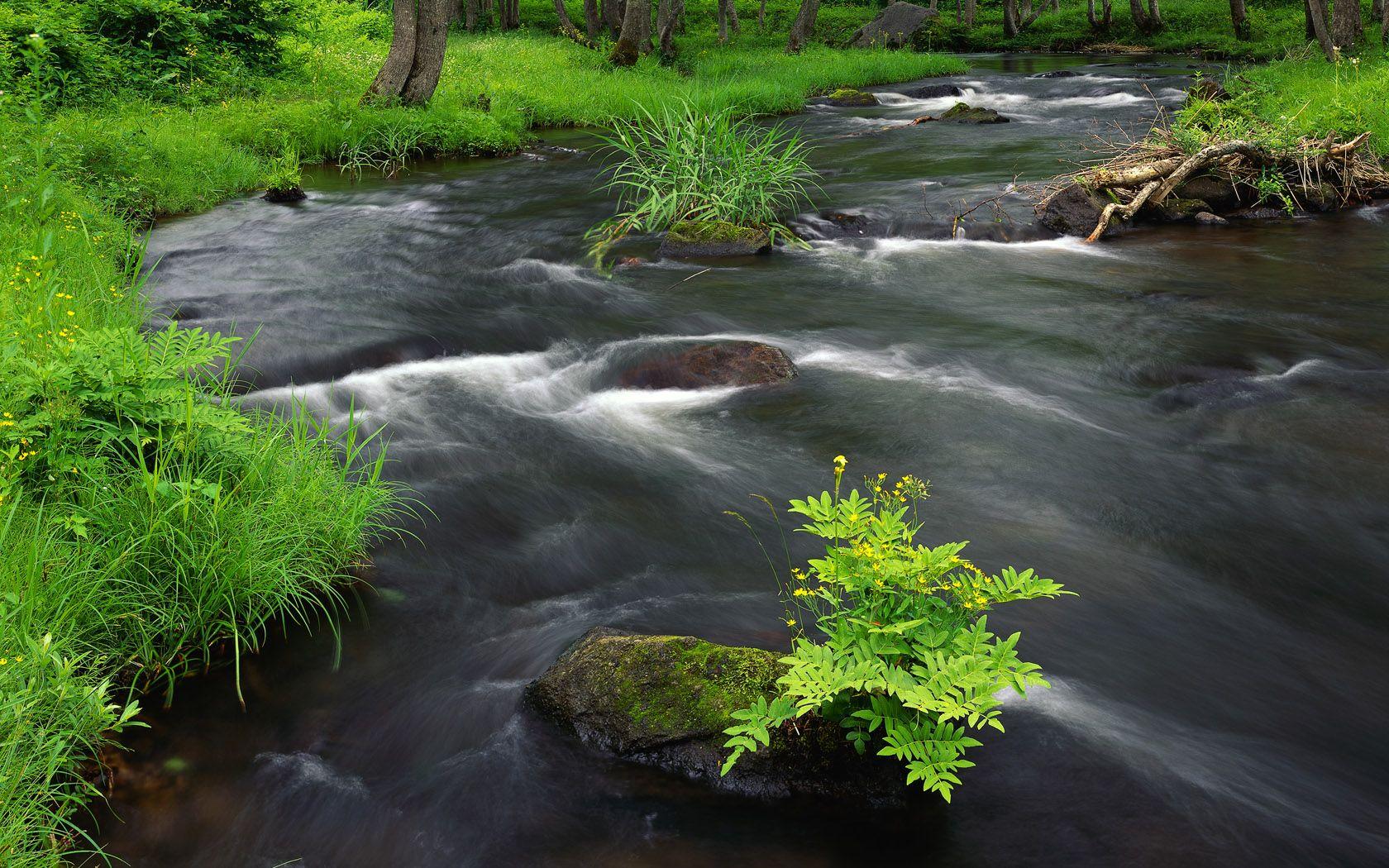 Windows River Wallpapers - Top Free Windows River Backgrounds ...