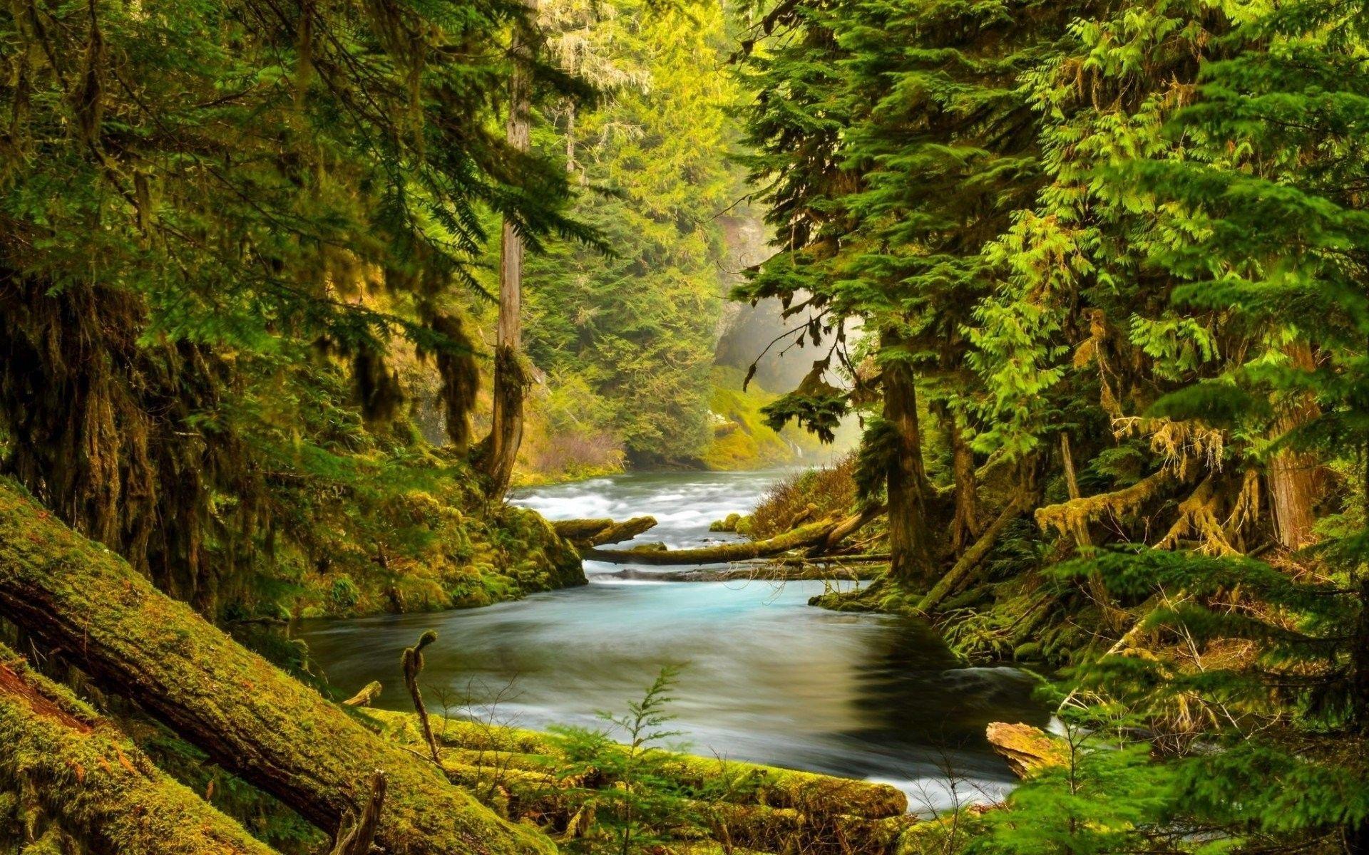 Windows River Wallpapers - Top Free Windows River Backgrounds ...