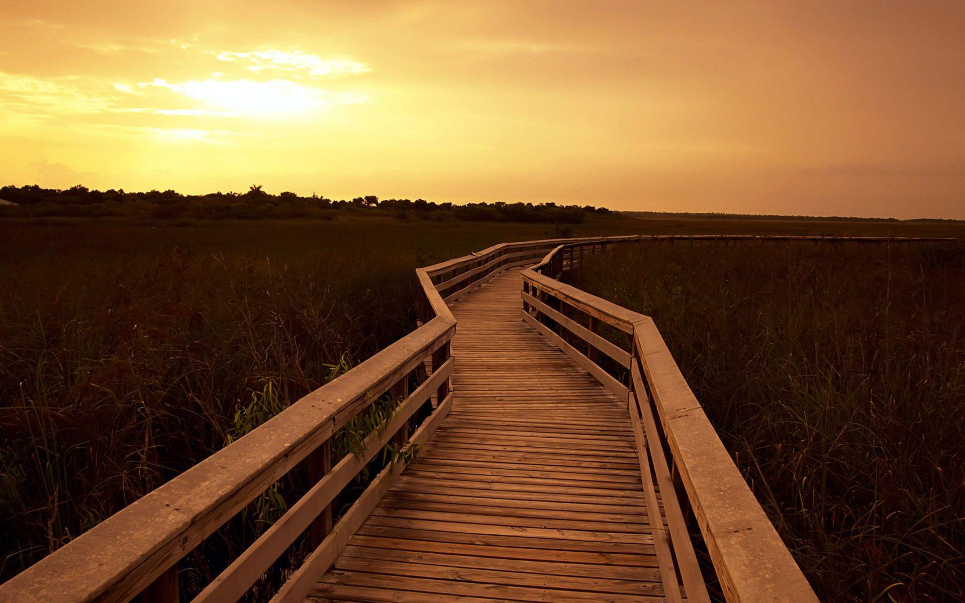 Gold Sky Wallpapers - Top Free Gold Sky Backgrounds - WallpaperAccess