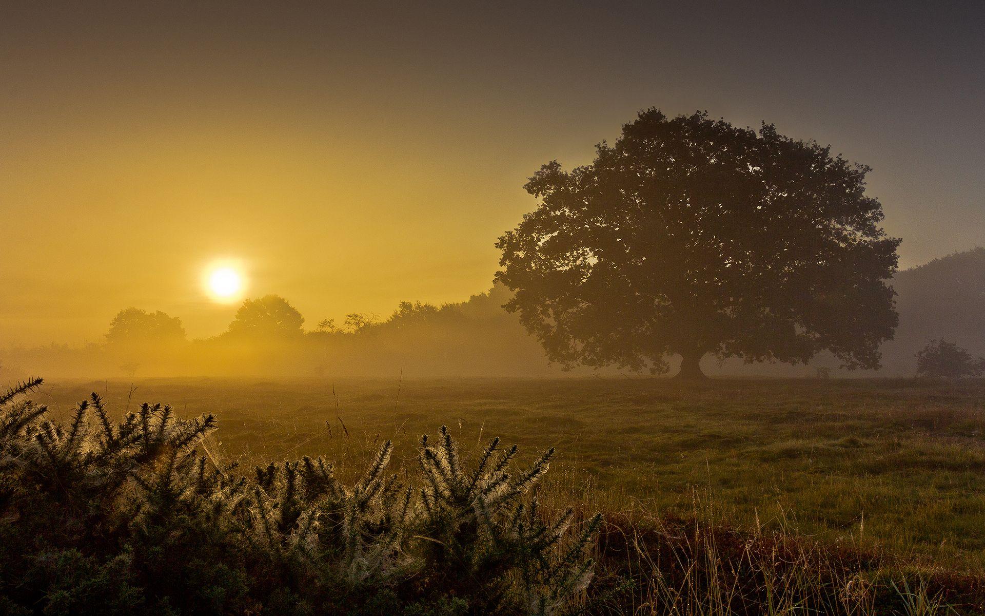 Sunrise Field Wallpapers - Top Free Sunrise Field Backgrounds ...