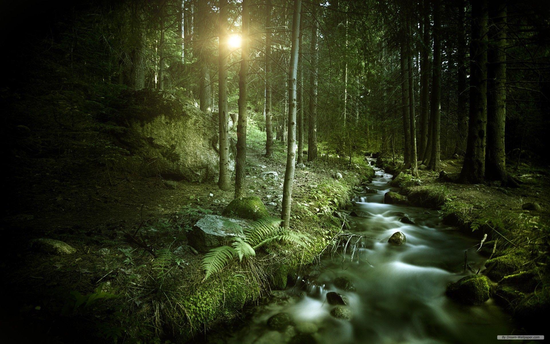 Windows River Wallpapers - Top Free Windows River Backgrounds ...