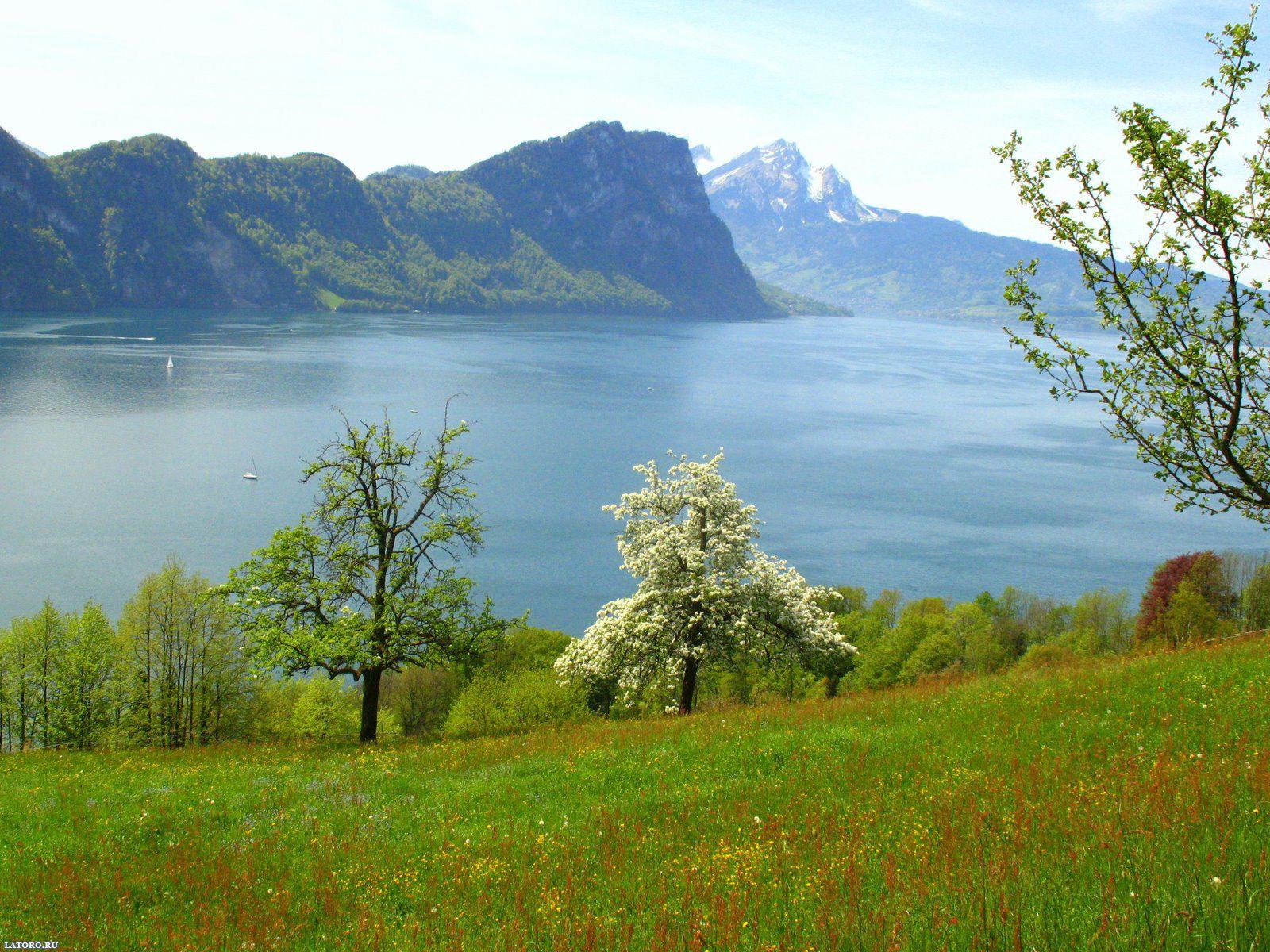 Switzerland Spring Wallpapers - Top Free Switzerland Spring Backgrounds ...