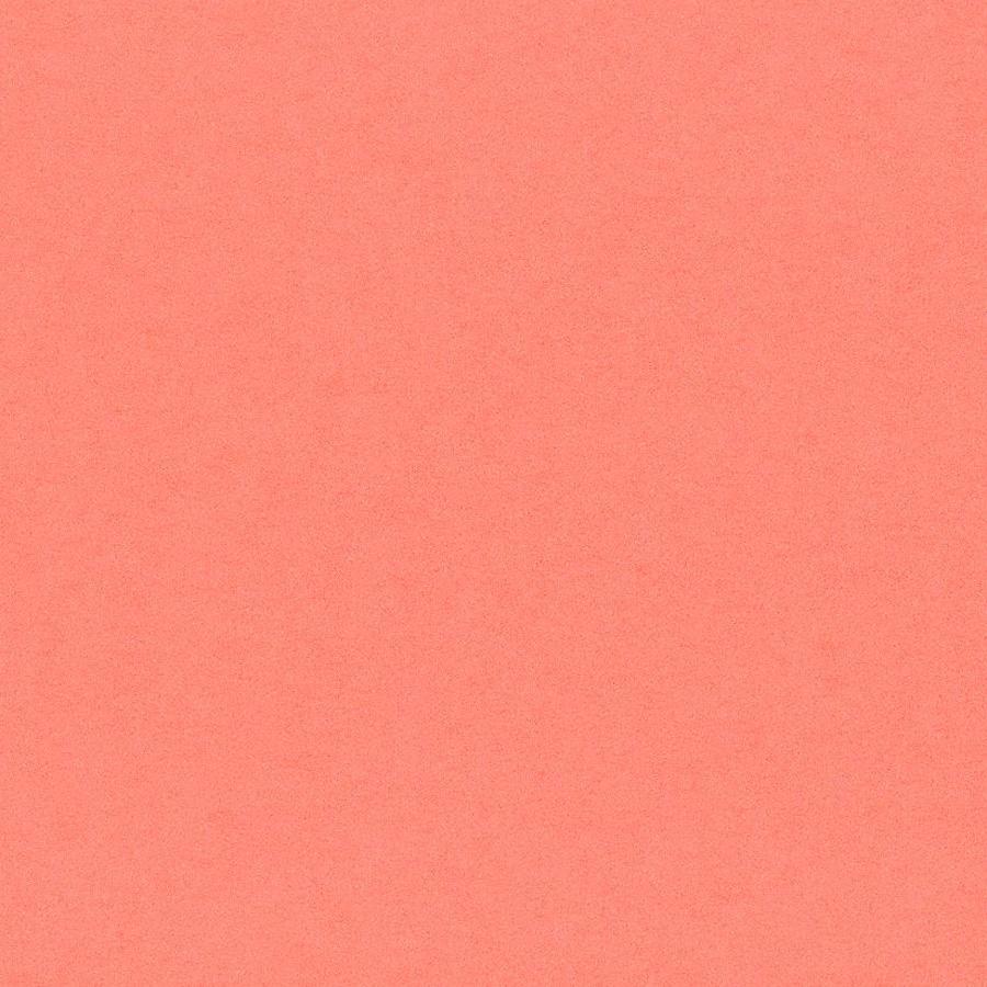 Deep Coral Color Wallpaper at Xavier Brill blog