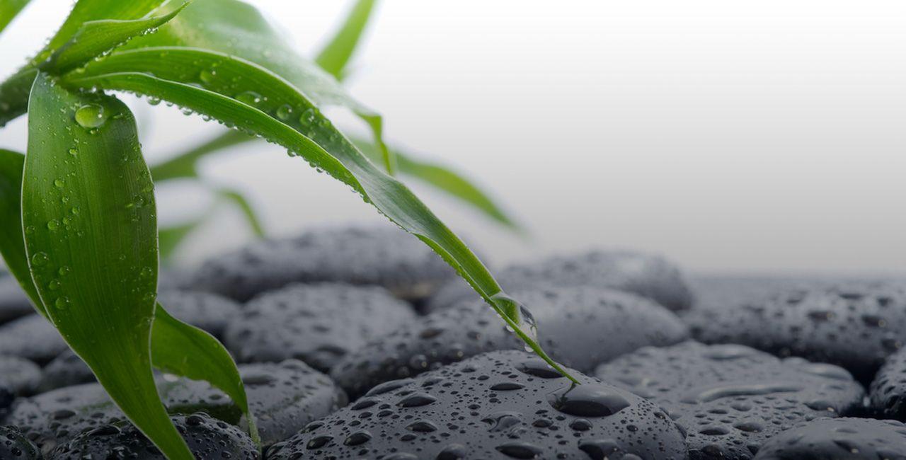 Zen Abstract Wallpapers - Top Free Zen Abstract Backgrounds ...