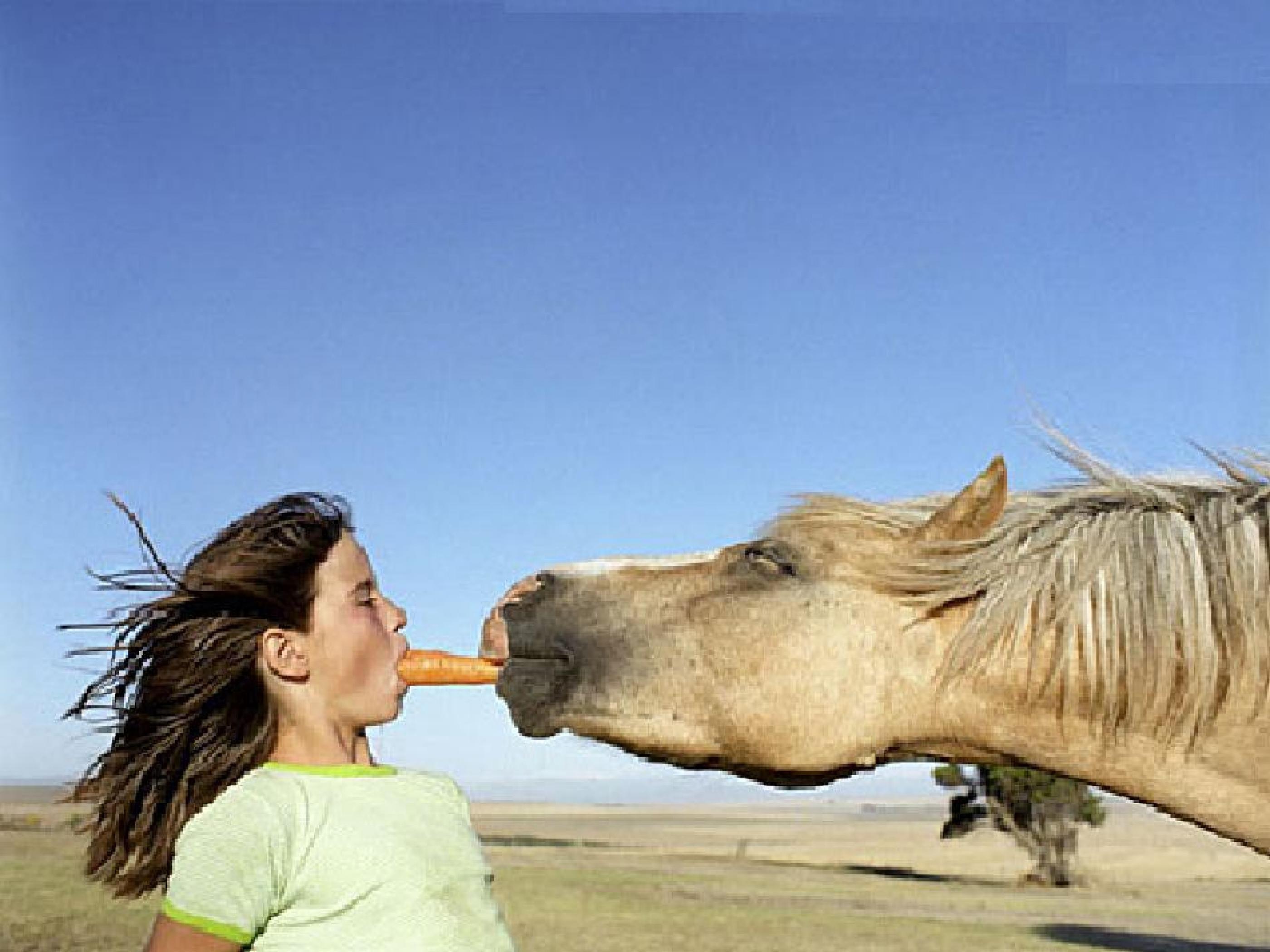 Comedy Wallpapers - Top Free Comedy Backgrounds - WallpaperAccess