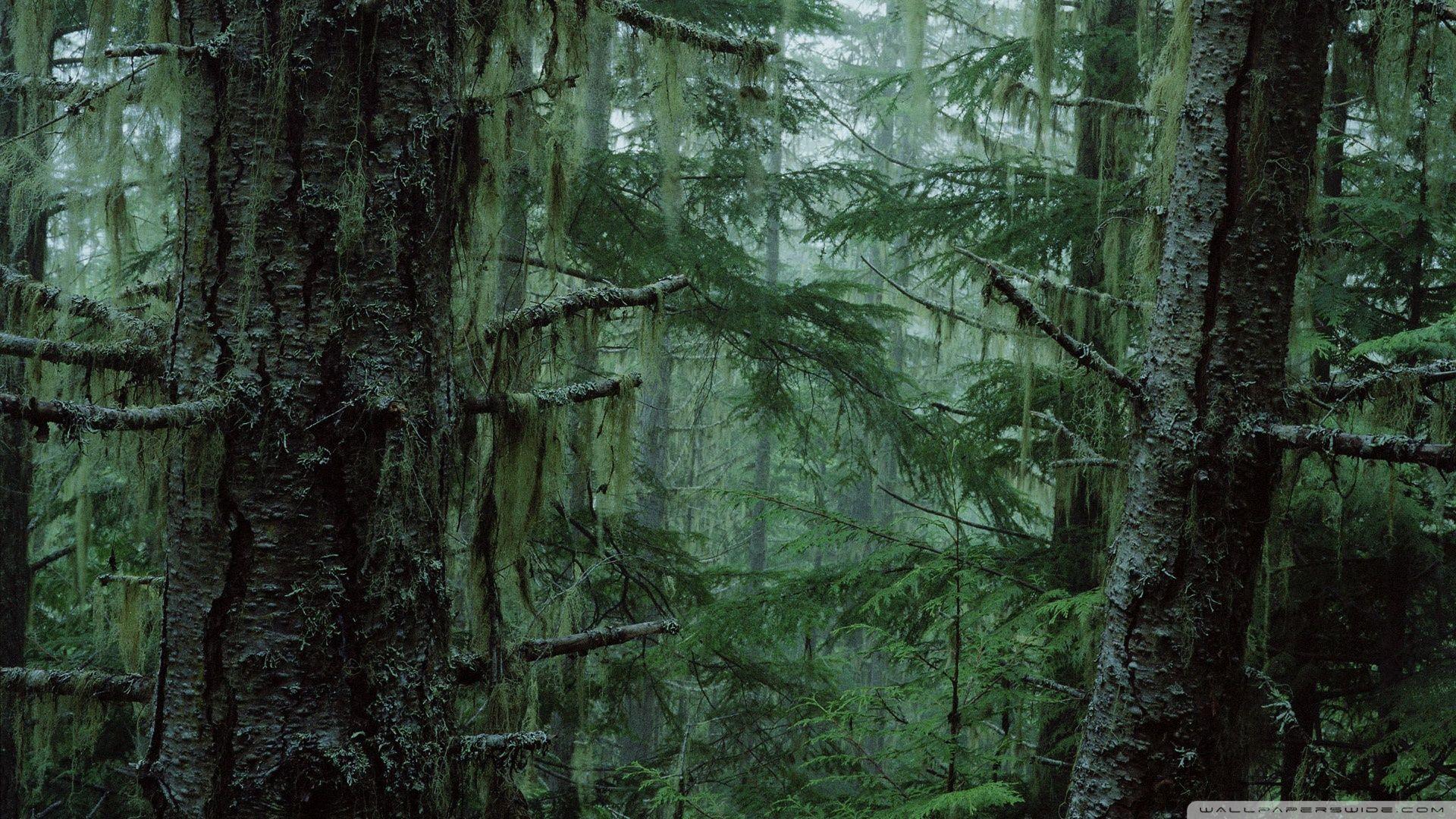 Mystical Wallpapers - Top Free Mystical Backgrounds - WallpaperAccess