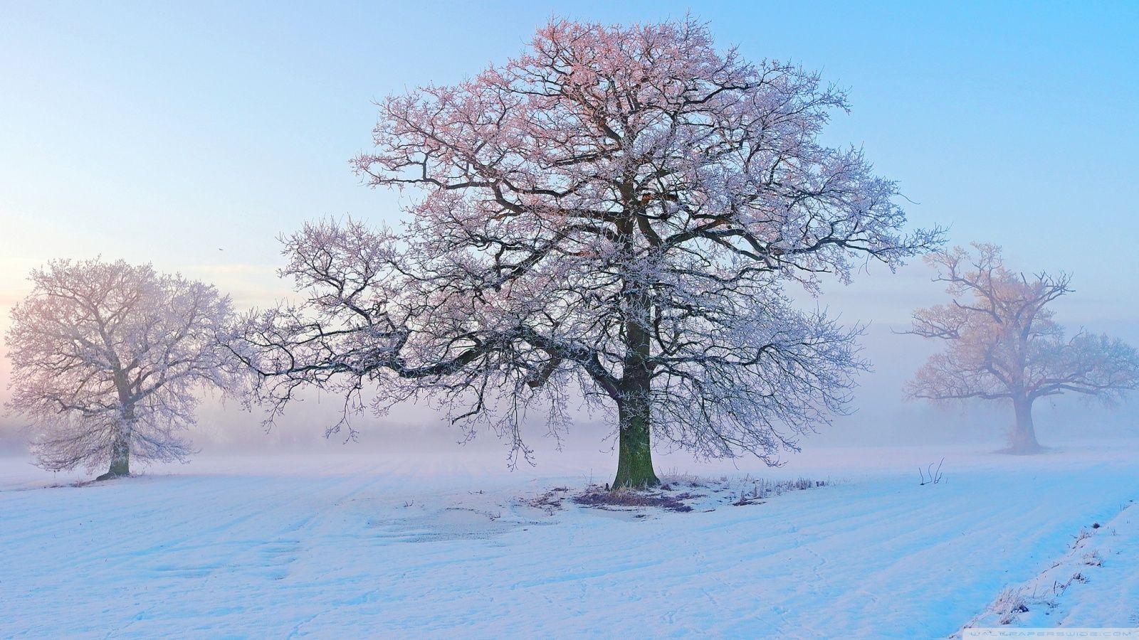 Cold Morning Wallpapers - Top Free Cold Morning Backgrounds ...