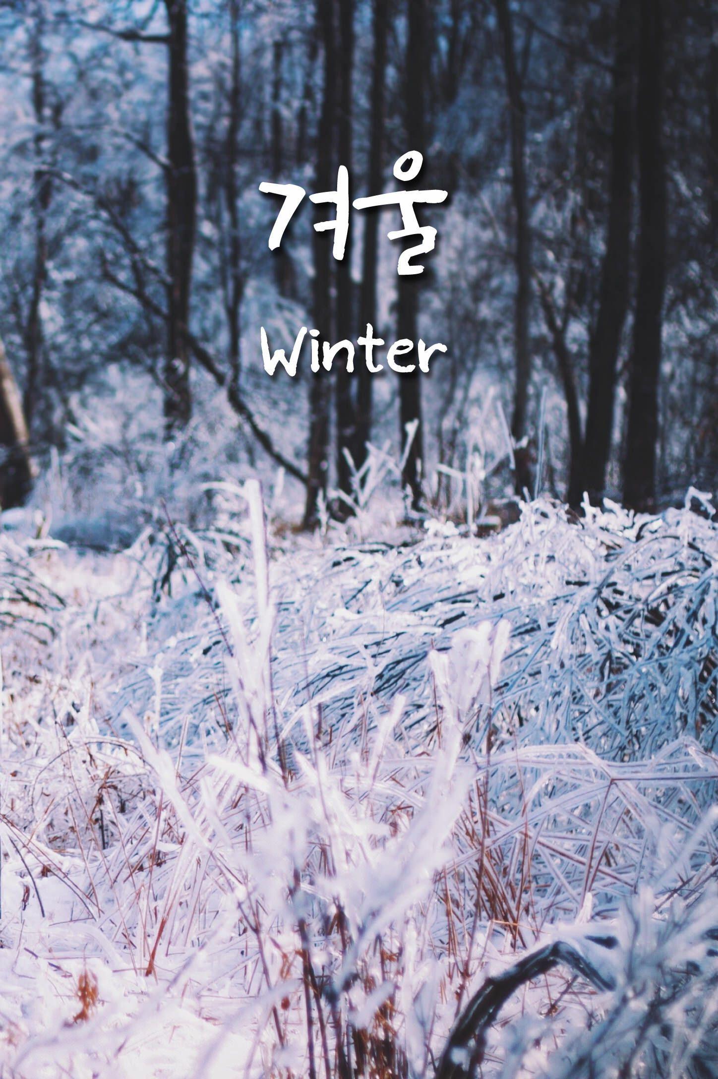 Korean Winter Wallpapers - Top Free Korean Winter Backgrounds ...