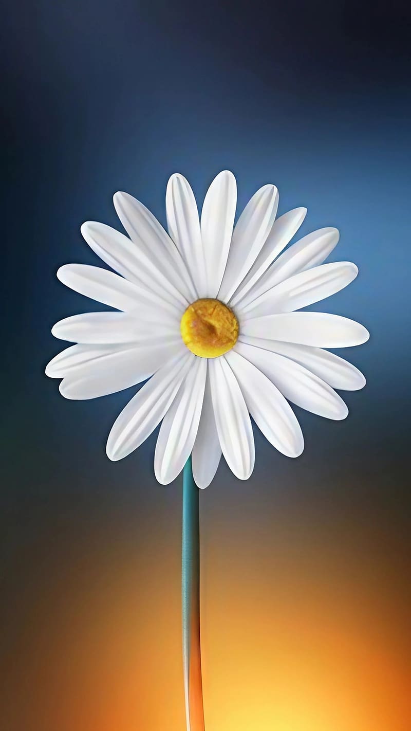 One Flower Wallpapers - Top Free One Flower Backgrounds - WallpaperAccess