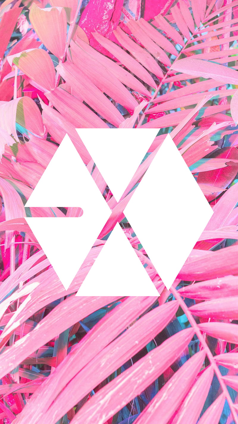 EXO-L Wallpapers - Top Free EXO-L Backgrounds - WallpaperAccess