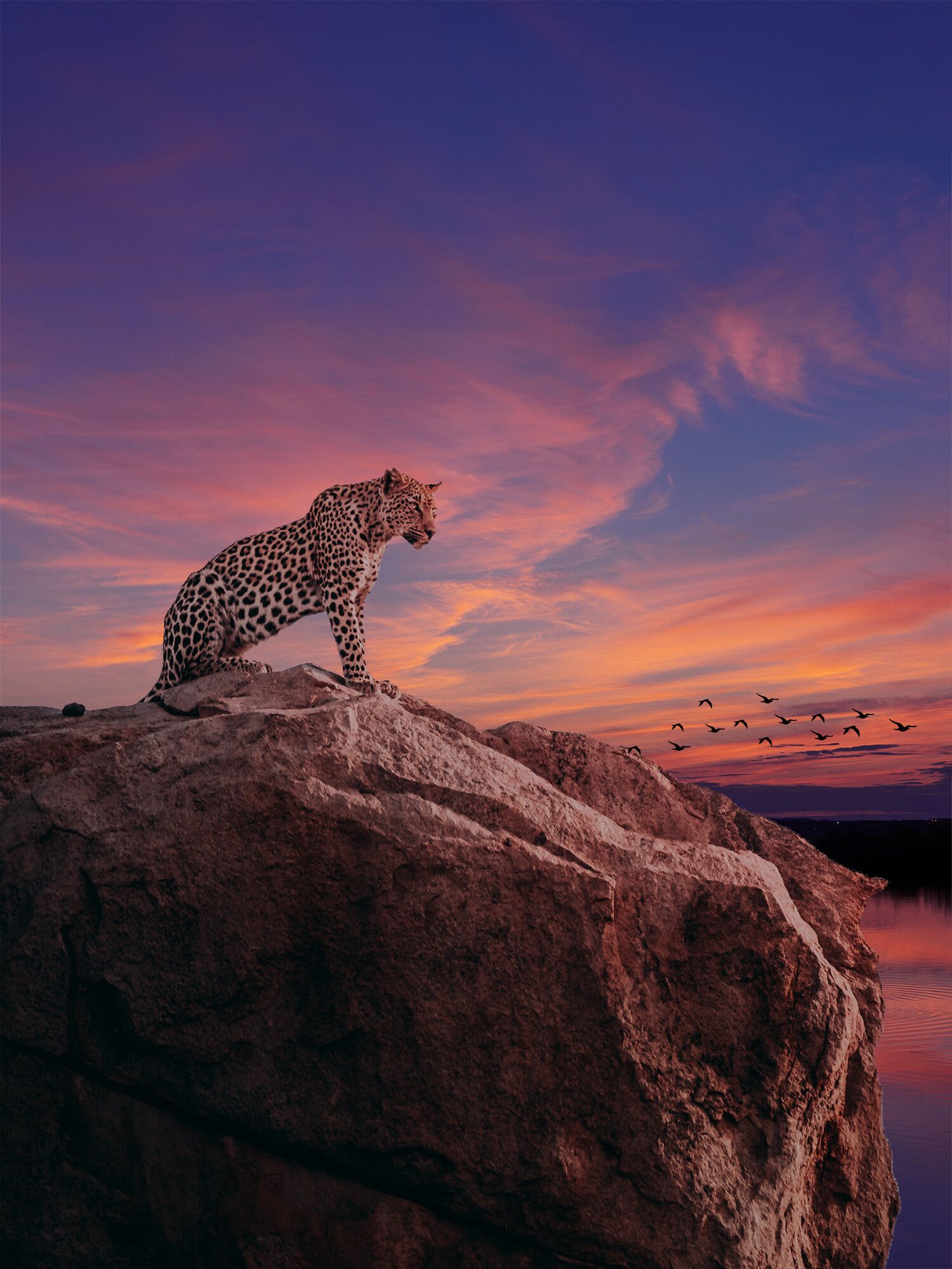 Chirutha Wallpapers - Top Free Chirutha Backgrounds - WallpaperAccess