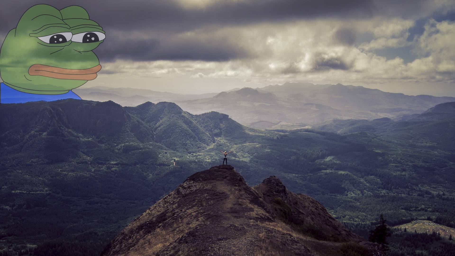 Pepe the Frog Wallpapers - Top Free Pepe the Frog Backgrounds ...