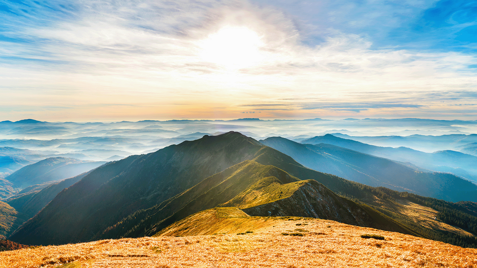 Geospatial Wallpapers - Top Free Geospatial Backgrounds - WallpaperAccess