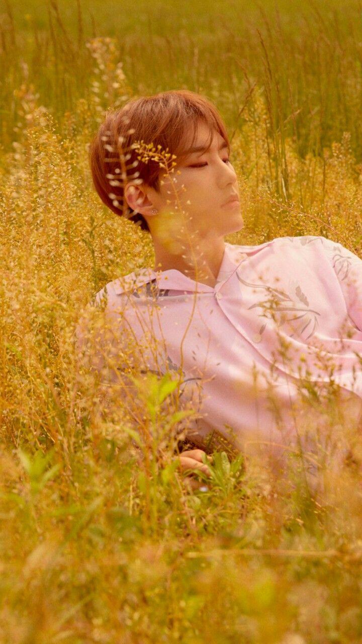 Hoshi Wallpapers - Top Free Hoshi Backgrounds - WallpaperAccess