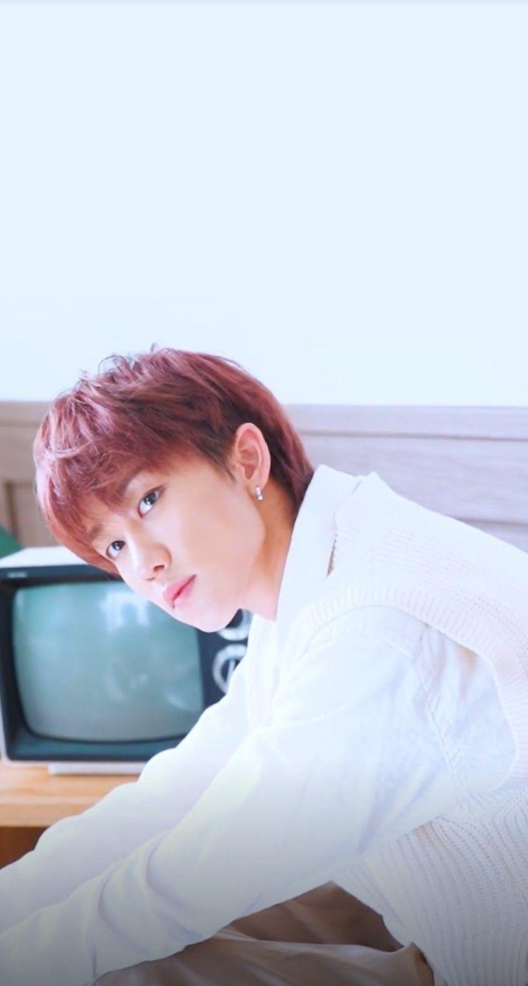 Hoshi Wallpapers - Top Free Hoshi Backgrounds - WallpaperAccess